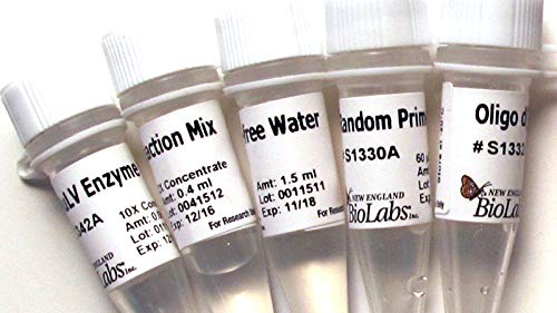 ProtoScript First Strand cDNA Synthesis Kit - 150 rxns: Amazon.com ...