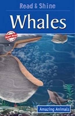 Whales : De, Tapasi, Roy, Suman S: Amazon.in: Books