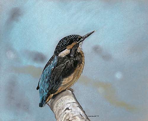 Kingfisher Print by UK artist Michelle Hewitt : Amazon.co.uk: Home ...