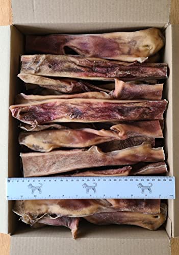 Hunde Rinderknochen – Die 15 besten Produkte im Vergleich - HundeINFOPortal