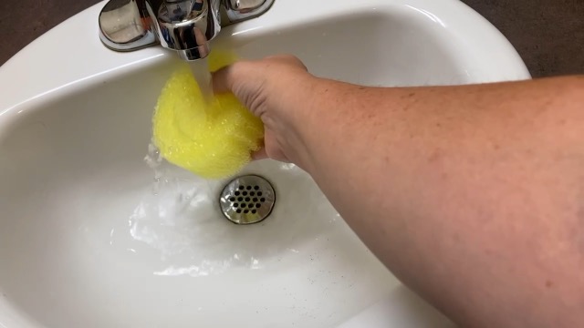 Watch #thisorthat Scotch brite sponge or Scrub daddy original on Amazon ...