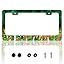 Amazon.com: Cute Cat License Plate Frame Pet Animal License Plate ...