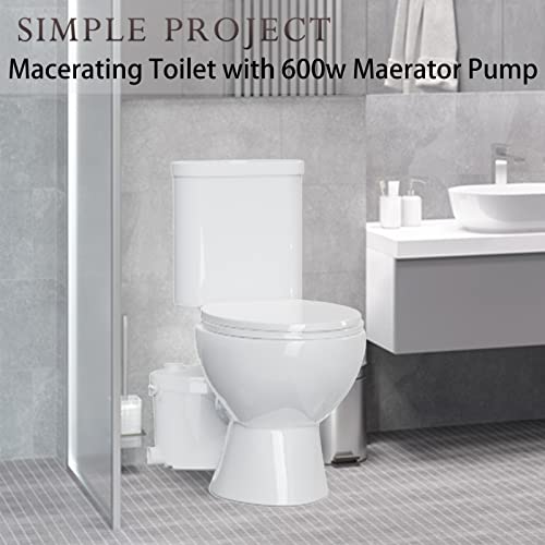 Simple Project Product Guide: 11 Best Things to Buy from Simple Project ...