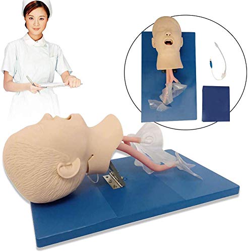 Buy Wenhu Baby Intubation Model,Airway Management Trainer Manikin Oral ...