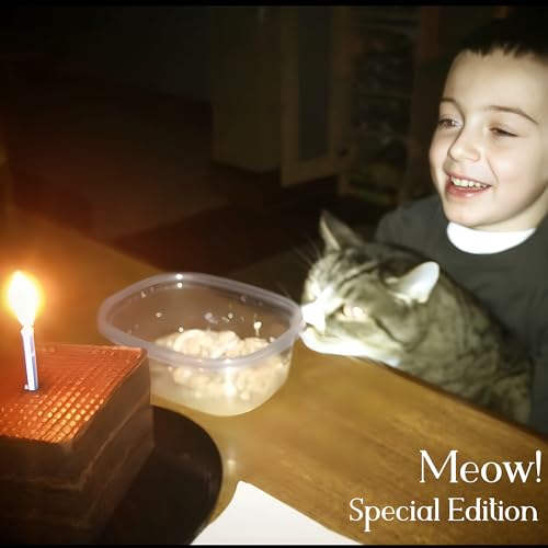 Amazon.com: Meow! (Special Edition) : Charlotte Brewer: Digital Music
