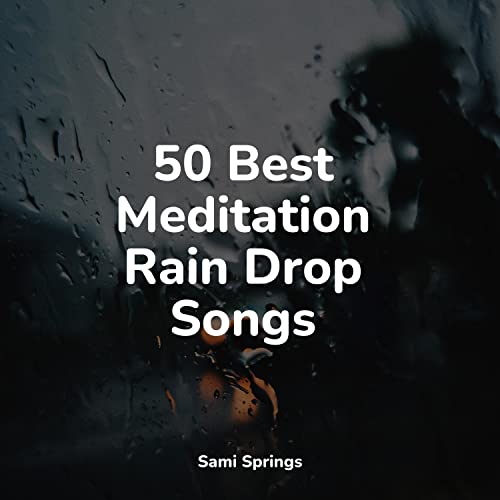 50 Best Meditation Rain Drop Songs di Spa Zen, Mindfulness Meditation ...