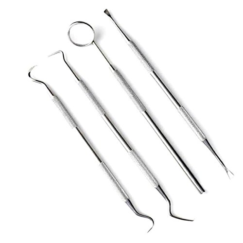 1 SET : Pro Stainless Steel Dental Tool 4pcs Dentist Sets Teeth Clean ...