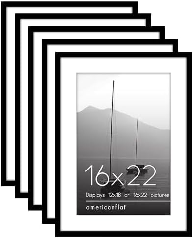 Amazon.com - Americanflat 16x22 Picture Frame with Polished Plexiglass ...