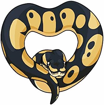 Amazon.com - Ball Python Heart Snake Decal -Indoor and Outdoor use ...