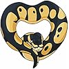 Amazon.com: Ball Python Heart Snake Decal -Indoor and Outdoor use ...