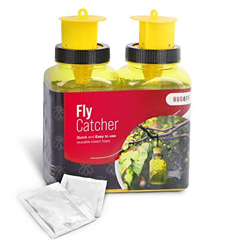 Best Fly Killer for Home UK - Internet Eyes