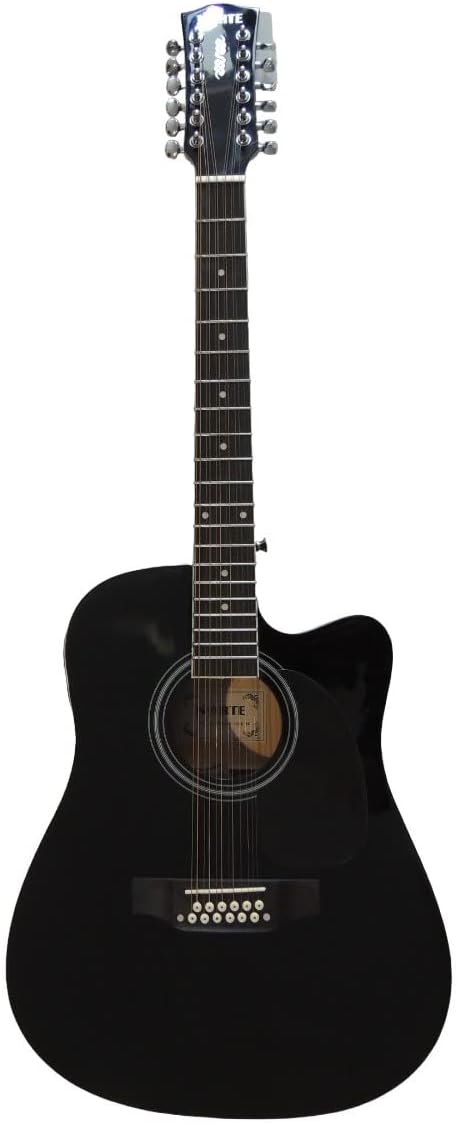 Docerola Electroacustica Negra Norte Guitarist House : Amazon.com.mx ...