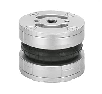 Festo 2748903 modelo eb-80 – 20 fuelle Cilindro : Amazon.es: Coche y moto