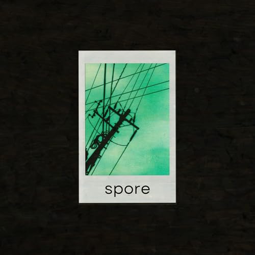 Sedimentary von Spore bei Amazon Music - Amazon.de
