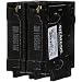 Q2100 100-Amp Double Pole Type QP Circuit Breaker - Amazon.com