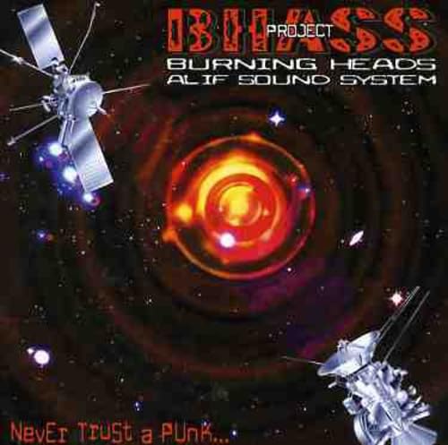 Never Trust a Punk: Burning Heads: 0766487487948: Amazon.com: Books