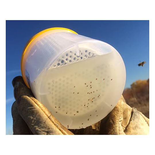 Foxhound Bee Company Varroa Easy Check Mite Tester - The #1 Mite ...