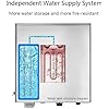 Amazon.com: Dim Sum Electric Steamer, Commercial Electric Steamer, Dry ...