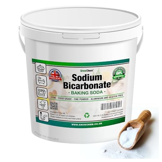 Where to Buy Bicarbonate of Soda (Baking Soda) for Cleaning in the UK | Best Places to Purchase ...