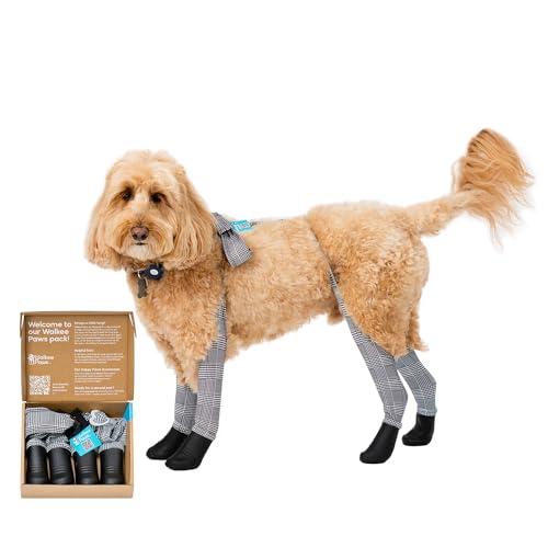 Protect Your Pup's Paws with the Top 10 Best Boots for Dogs: A Complete ...