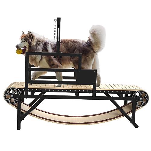 Amazon.com New Releases: The best-selling new & future releases in Dog ...