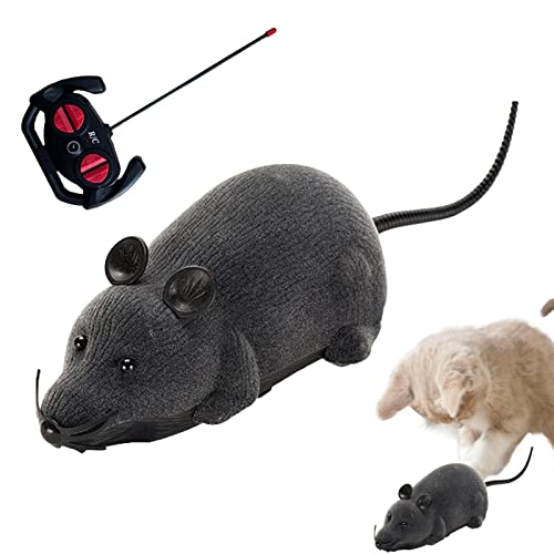 10 migliori topo elettronico per gatti - Confronto, recensioni, miglior ...