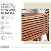 Amazon.com: COLIBRI Sigma TV Stand for Living Room - Console Tables Up ...
