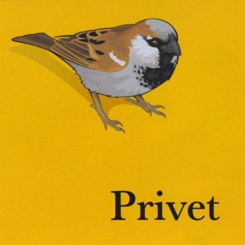 Play Privet by Privet on Amazon Music