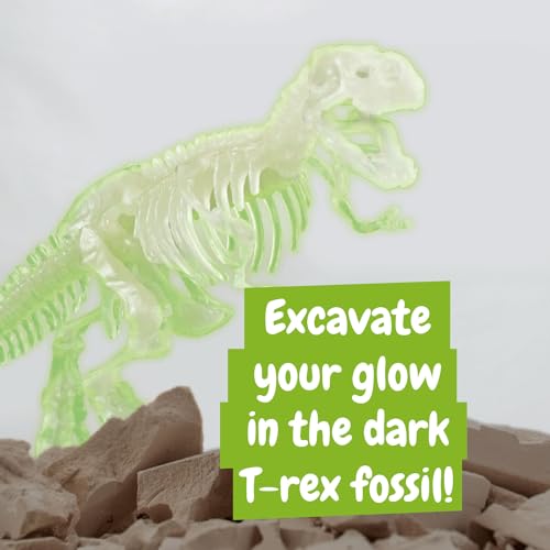 Science4you T-Rex Fossil Digging Kit for Kids +6 Years – Dinosaur ...