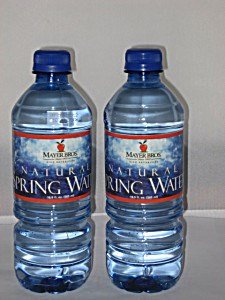 Amazon.com : Absopure Water Corp Natural Spring Water, 24 oz : Grocery ...