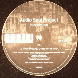 Amazon.com: New Plateau [Vinyl] Unknown: CDs & Vinyl