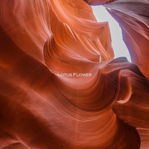 Play Lotus Flower by Lotus Flower on Amazon Music