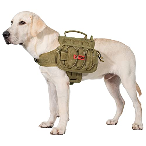 Best Dog Running Equipment to Take on Your Adventures