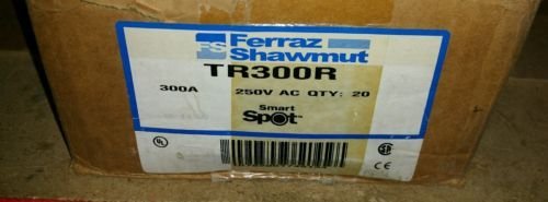 Amazon.com: TR300R fuses 300A, Full Box of 20 : Automotive
