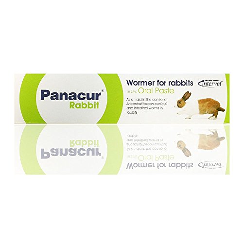 Panacur Wormer for Rabbits 18.75% Oral Paste 5g for control of ...