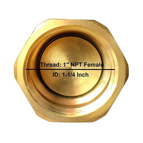 Snapklik.com : Brass Foot Valve 1 Inch NPT Heavy Duty Spring Mesh Check ...