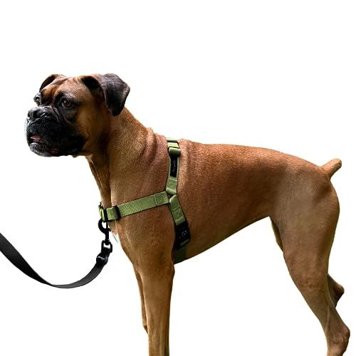 10 of the Most Effortless Walking Aids- Your Ultimate Buying Guide for ...