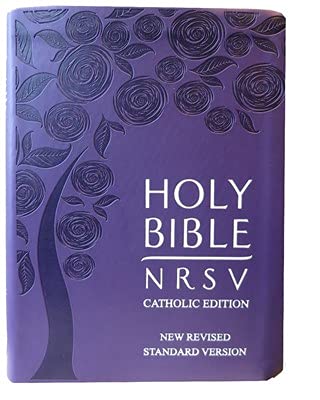 Holy Bible NRSV Catholic Edition: Nrsv Catholic Bible: 9780564080373 ...