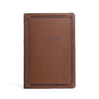 CSB Large Print Thinline Bible, Value Edition, Brown LeatherTouch, Red ...