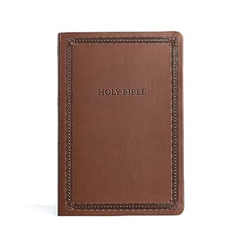 CSB Large Print Thinline Bible, Value Edition, Brown LeatherTouch : CSB ...