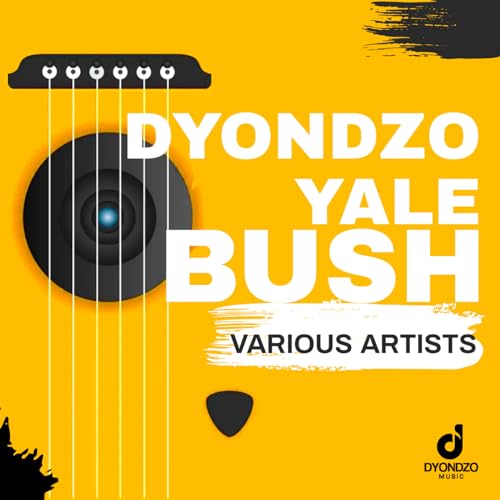 Écouter Dyondzo Ya Bush (Vol.1) par VARIOUS ARTISTS sur Amazon Music ...