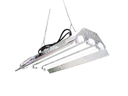 Best T5 (Fluorescent) Grow Lights 2021 : A Complete Buyer’s Guide