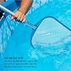Amazon.com : U.S. Pool Supply Pool Skimmer Net with Pole, Handheld ...