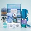 Amazon.com: Birthday Gifts for Women,Blue Gift Basket for Women ...