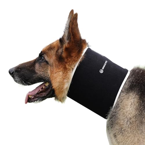 Dog Neck Brace – The 15 best products compared - Wild Explained