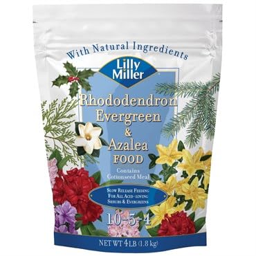 Amazon.com : Lilly Miller Rhododendron Evergreen & Azalea Mix 10-5-4 ...