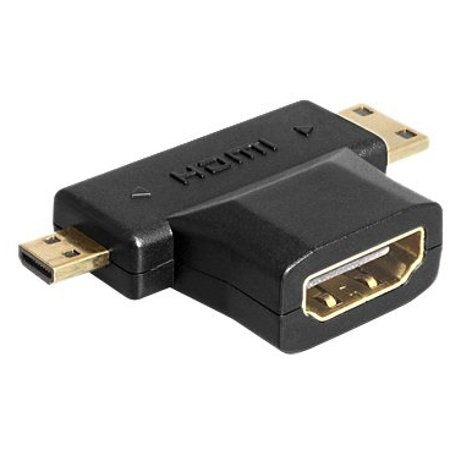 Amazon.com: The Medusa And The Snail - More Notes Of A Biology Watcher ...