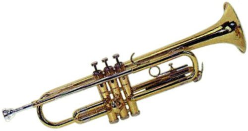 Roy Benson Trumpet Kit : Amazon.in: Musical Instruments