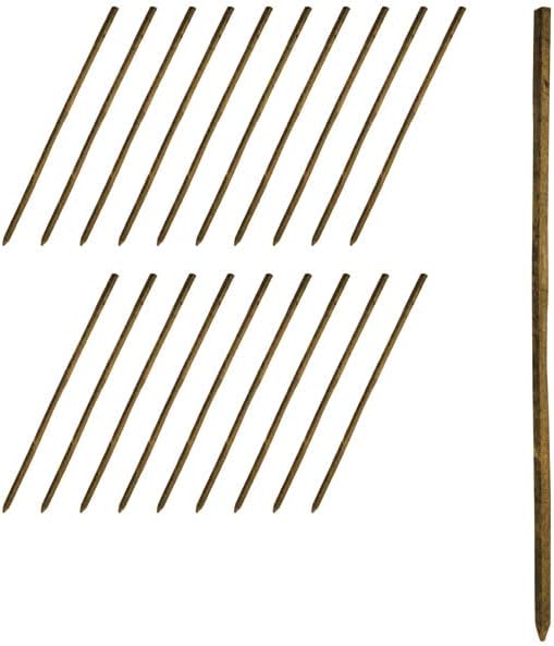 Amazon.com : Tree Pro 48" Treated Pine Stakes – Pack of 20 Durable ...