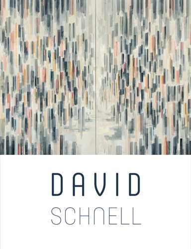 David Schnell: saison : Van den Boogerd, Dominic: Amazon.co.uk: Books
